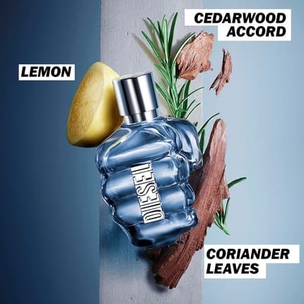 Wholesale Diesel Only the Brave Eau de Toilette Spray Cologne for Men ...
